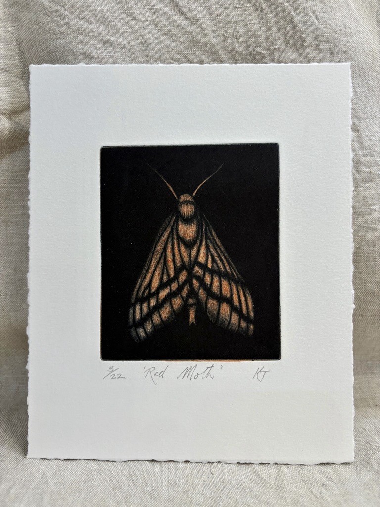 TK Print Red Moth 5/22 Mezzotint 320 - Fremantle Arts Centre eCommerce